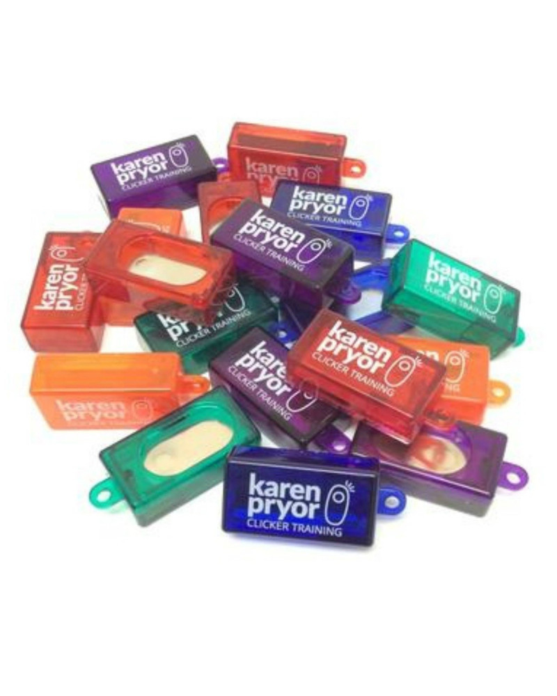 Box-Clicker fürs Hundetraining